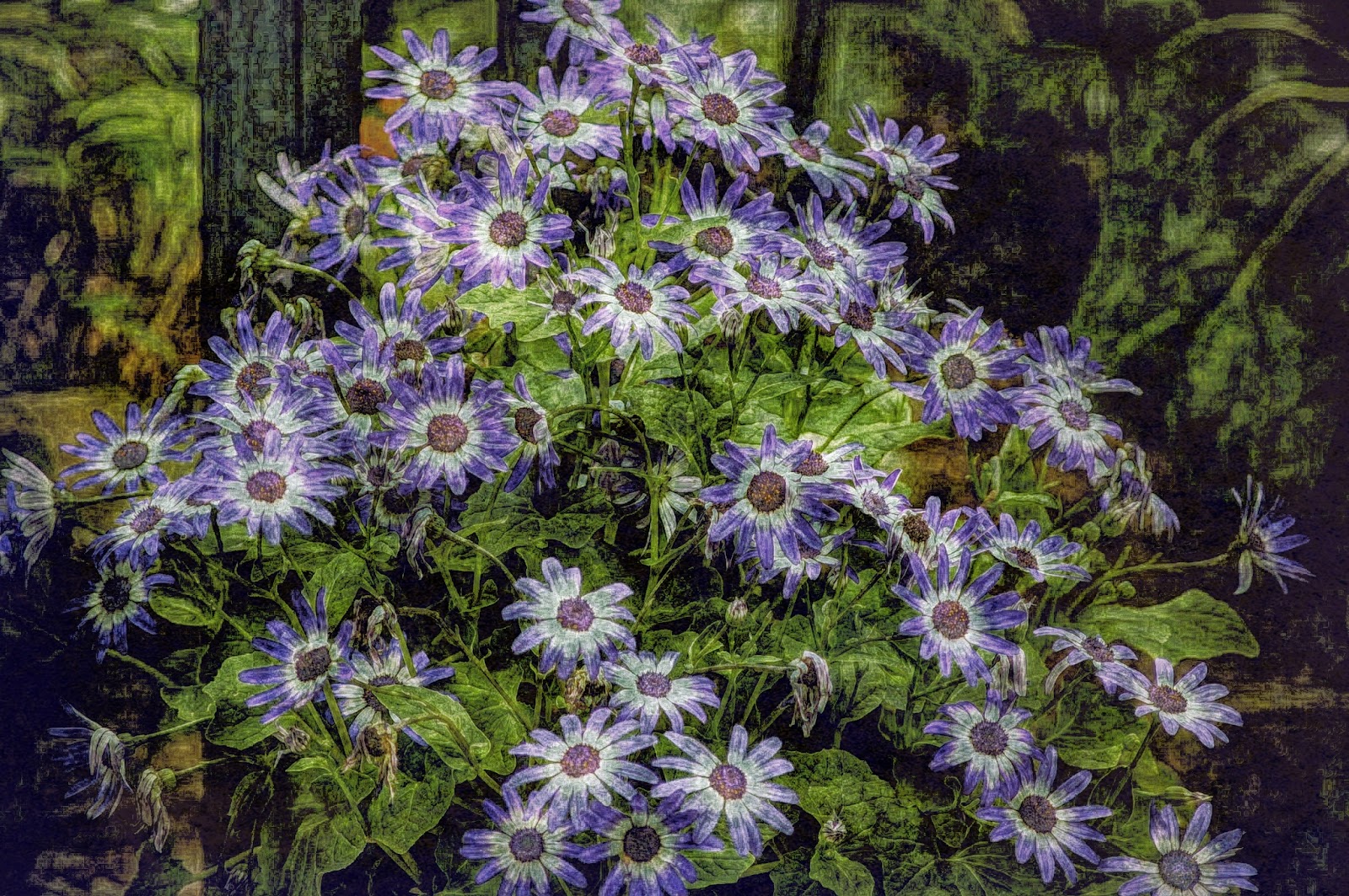 Colorful flowers copyright free image for websites