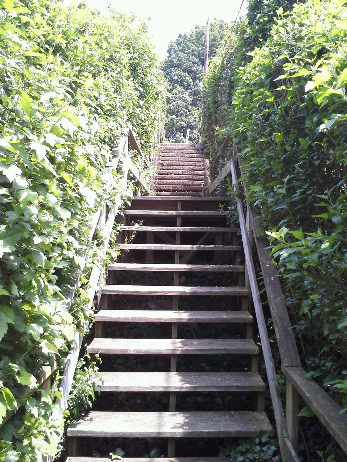 Pittsburgh Pilgrimage: Hiking The City Steps: Lincoln place