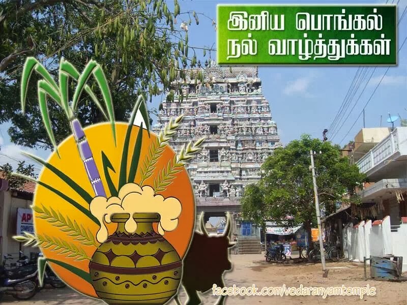 vedaranyam temple: 2014
