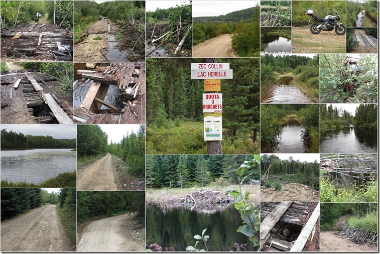 DS Adventure Quebec: Manawan Reserve ride: part 4, a maze of trails