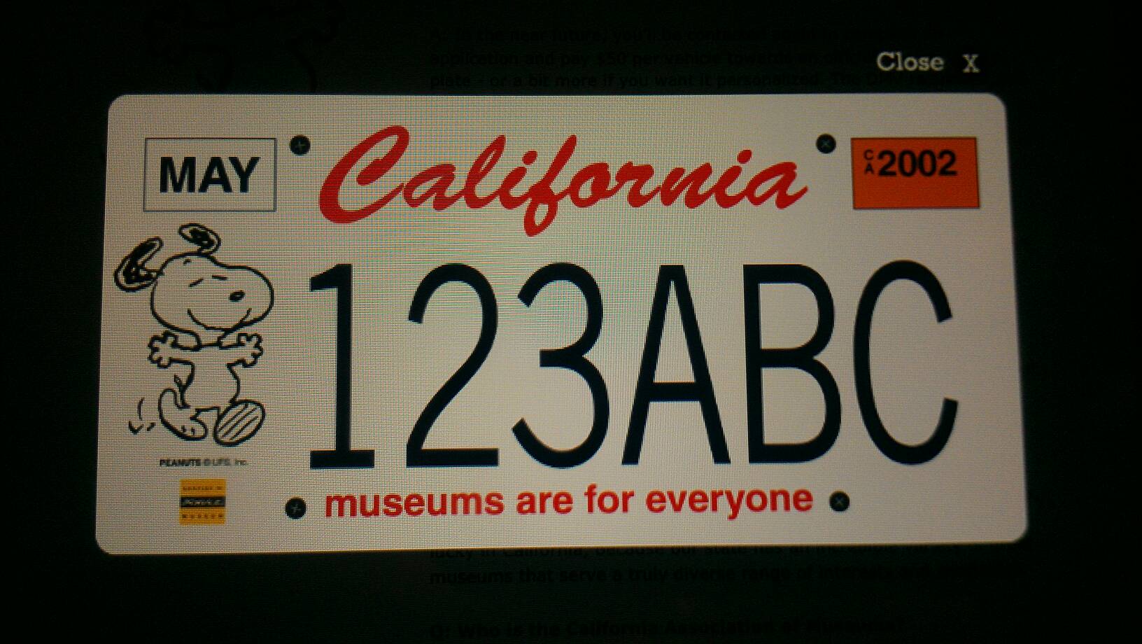 Diane's Online Diary: Snoopy license plate