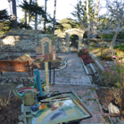 Winter in the Rose Garden – Crystal Harling