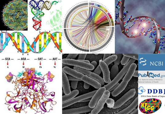 NBAIM National Training on Bioinformatics : Computational Tools for ...