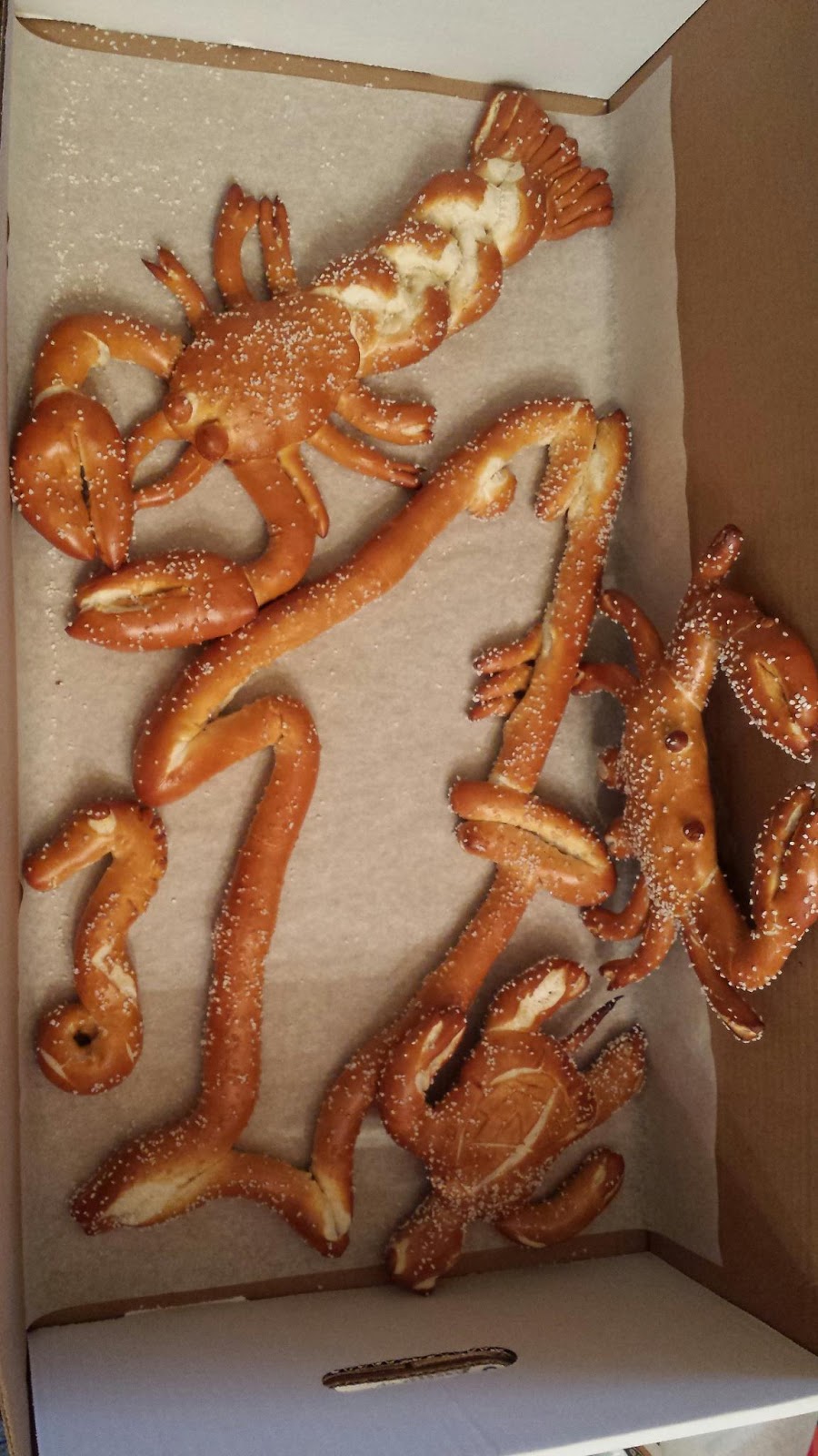 Ian and Marie's Zoo: Sea creature pretzels