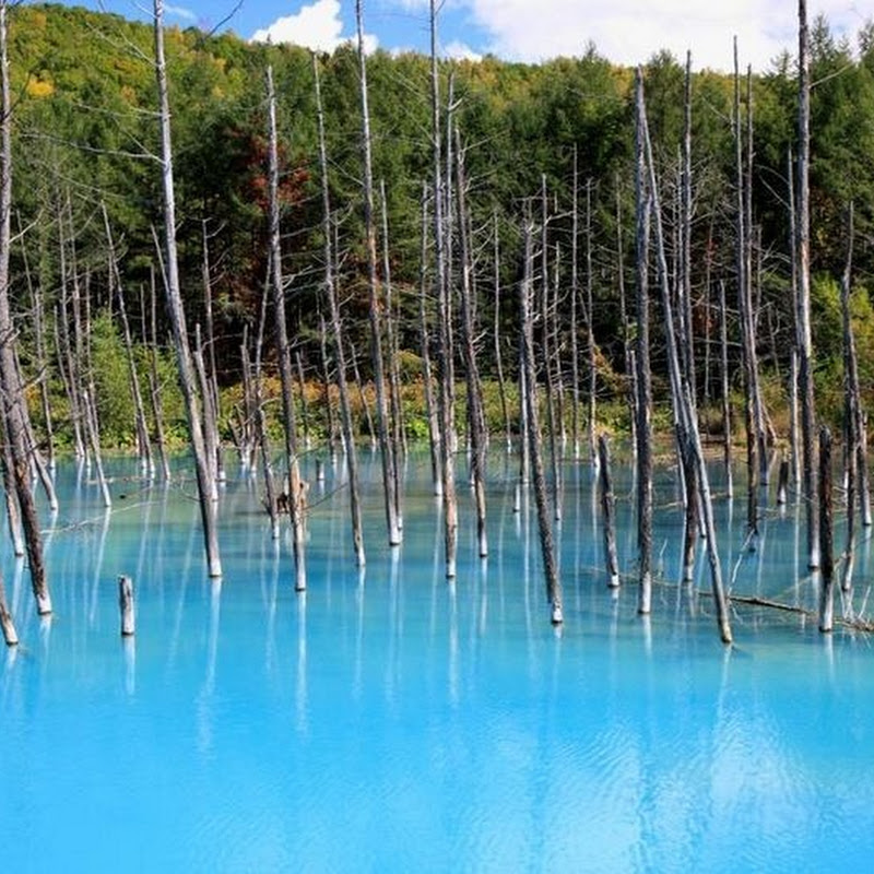 Arvind's: Blue Pond in Hokkaido, Japan