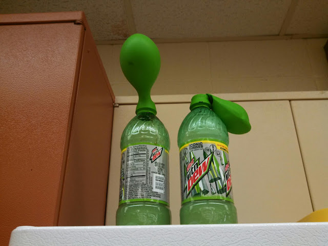 MzKaylaPinz: Yeast Balloon Blow Up to Demonstrate Bacteria Multiplying ...