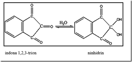Uji Ninhidrin pada Protein - My Experience