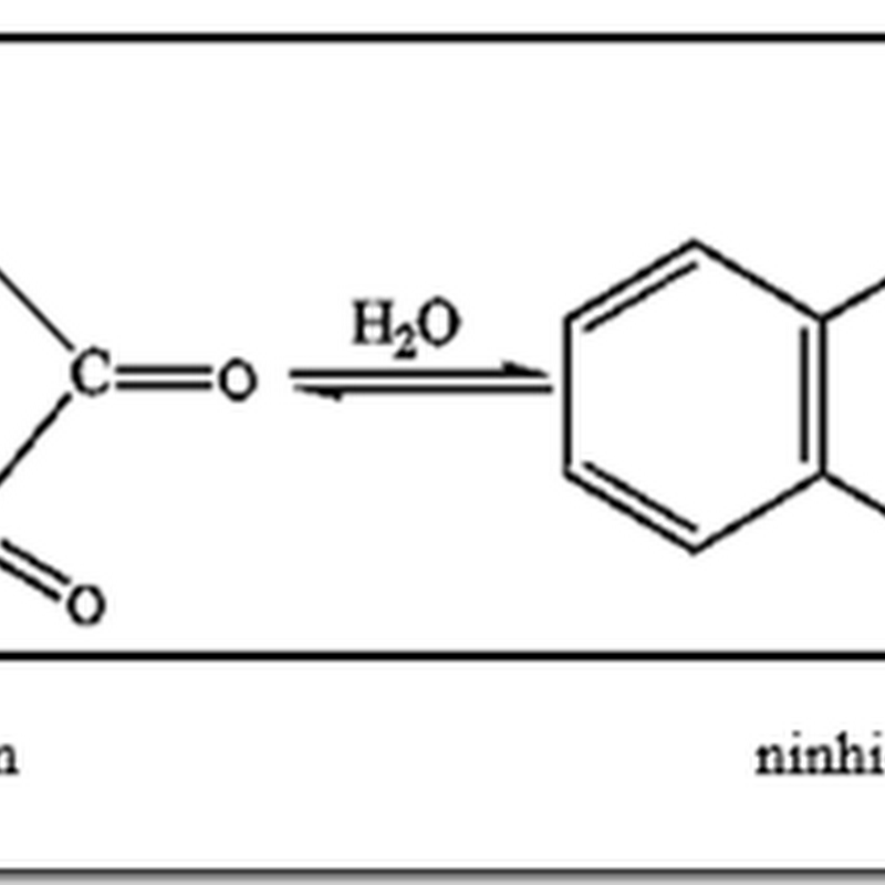 Uji Ninhidrin pada Protein - My Experience