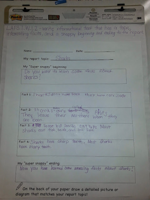 Mrs Ridout s First Grade Report Writing mrs-ridout-s-first-grade-report-writing