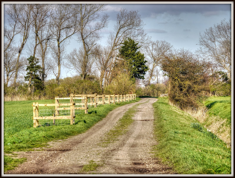 Keep Pushing Those Pedals: Scenes from around the fens of Lodes Way