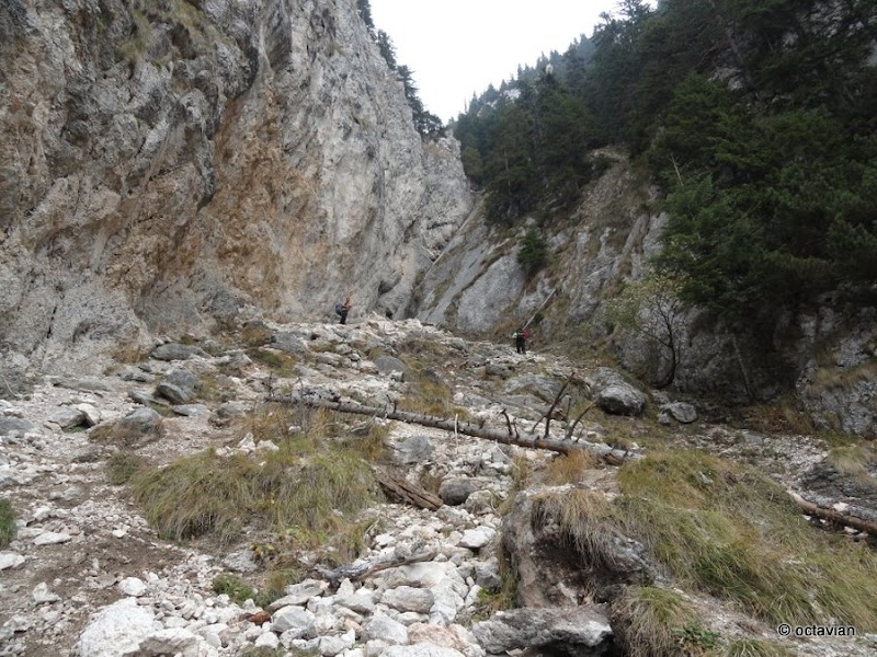 Padina lui Calinet si Sudica- Piatra Craiului – Pe drumuri de munte