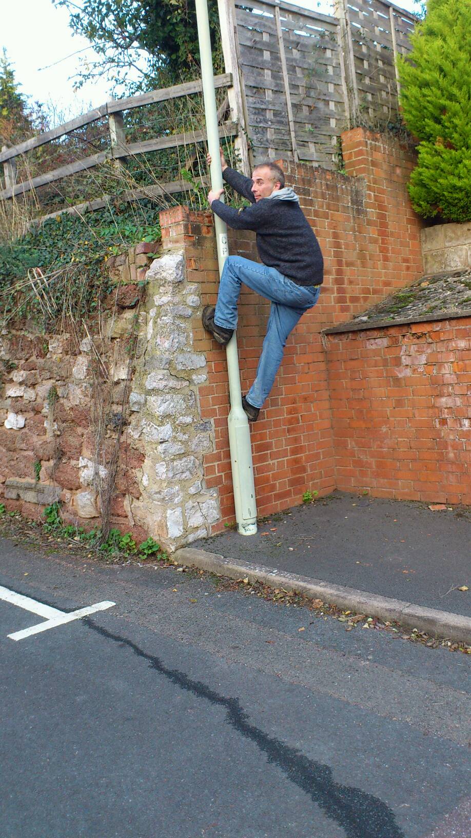 Best of Tree Collecting: Scrumping Apples