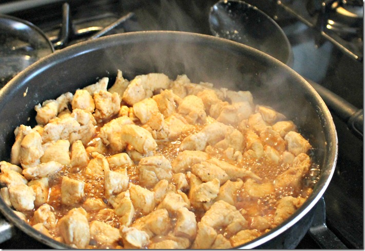 JC's Journey: Lomo Saltado Chicken