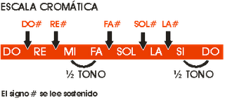 saulguitarlessons: Escala cromatica.