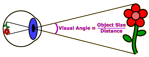 Sci Tune: Why we see a object bigger or smaller?