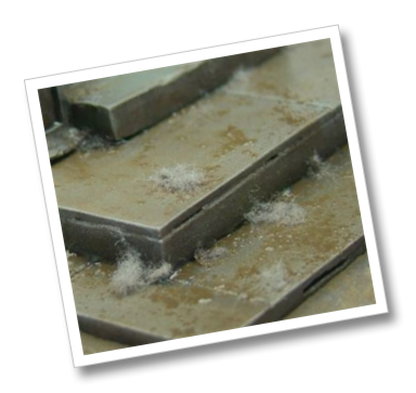 How to use the real dust on the base? | Coloured Dust