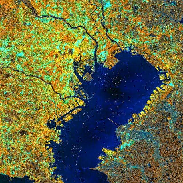 Nature's Masterpieces: Image of Tokyo from the European Space Agency's ...
