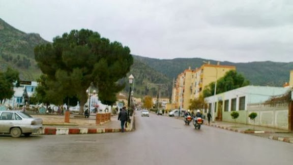 Aïn Defla: une wilaya agricole aux perspectives prometteuses - Algerie360