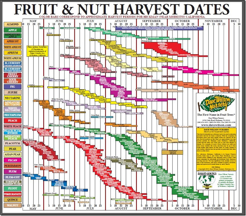 Fruit And Nut Harvest Chart – TSQK