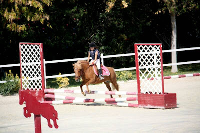 LLENAMOS LA MOCHILA: FILOMENA, EL PONY DE NAZARET