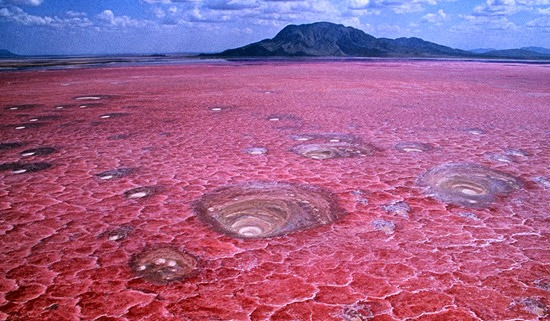 Alizul: LAKE NATRON: THE LETHAL LAKE THAT TURNS ANIMALS INTO STONE-LIKE ...