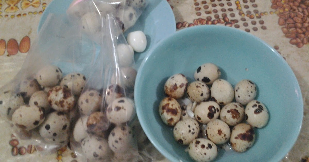 Telur burung puyuh | ams.com