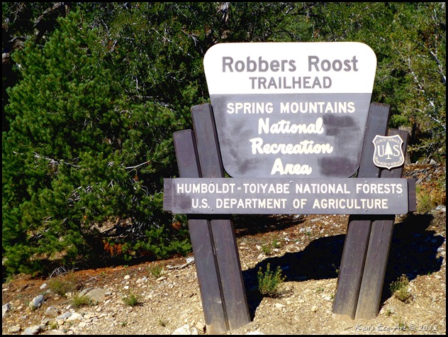Ken's Photo Gallery: Robber’s Roost Trail at Mt. Charleston