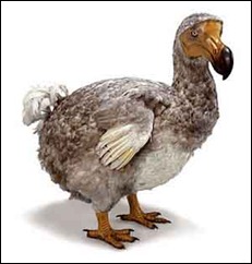 Natureza: A extinção do dodô