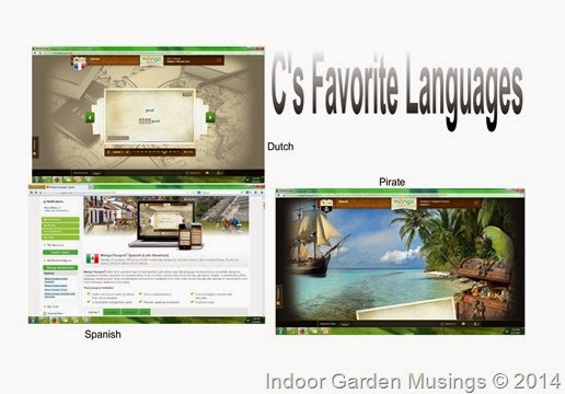 Indoor Garden Musings: Mango Languages: A Foreign Language Homeschool ...