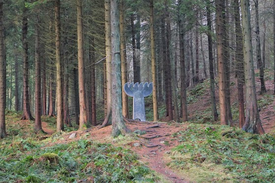Walking Tyrebagger Forest in Scotland with the boys on Saturday. Mud ...