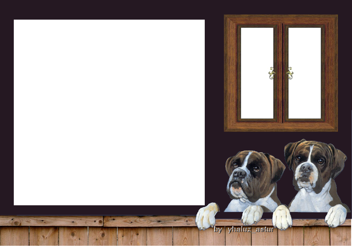 Marcos con perros - Imagui