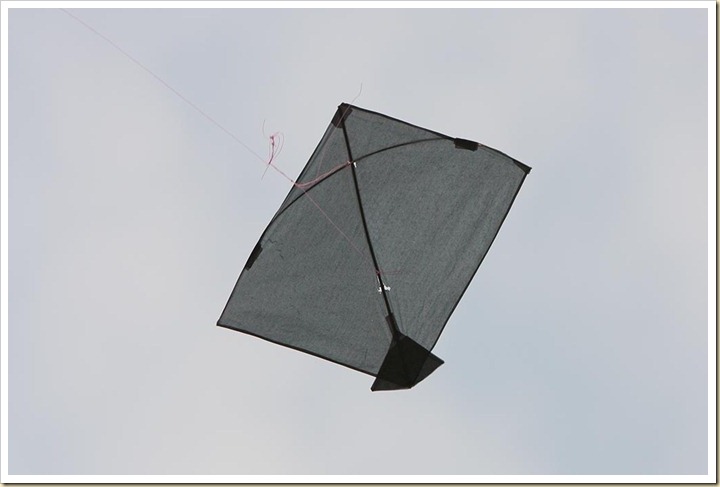 Nothing Official Here: The Kite Flying...