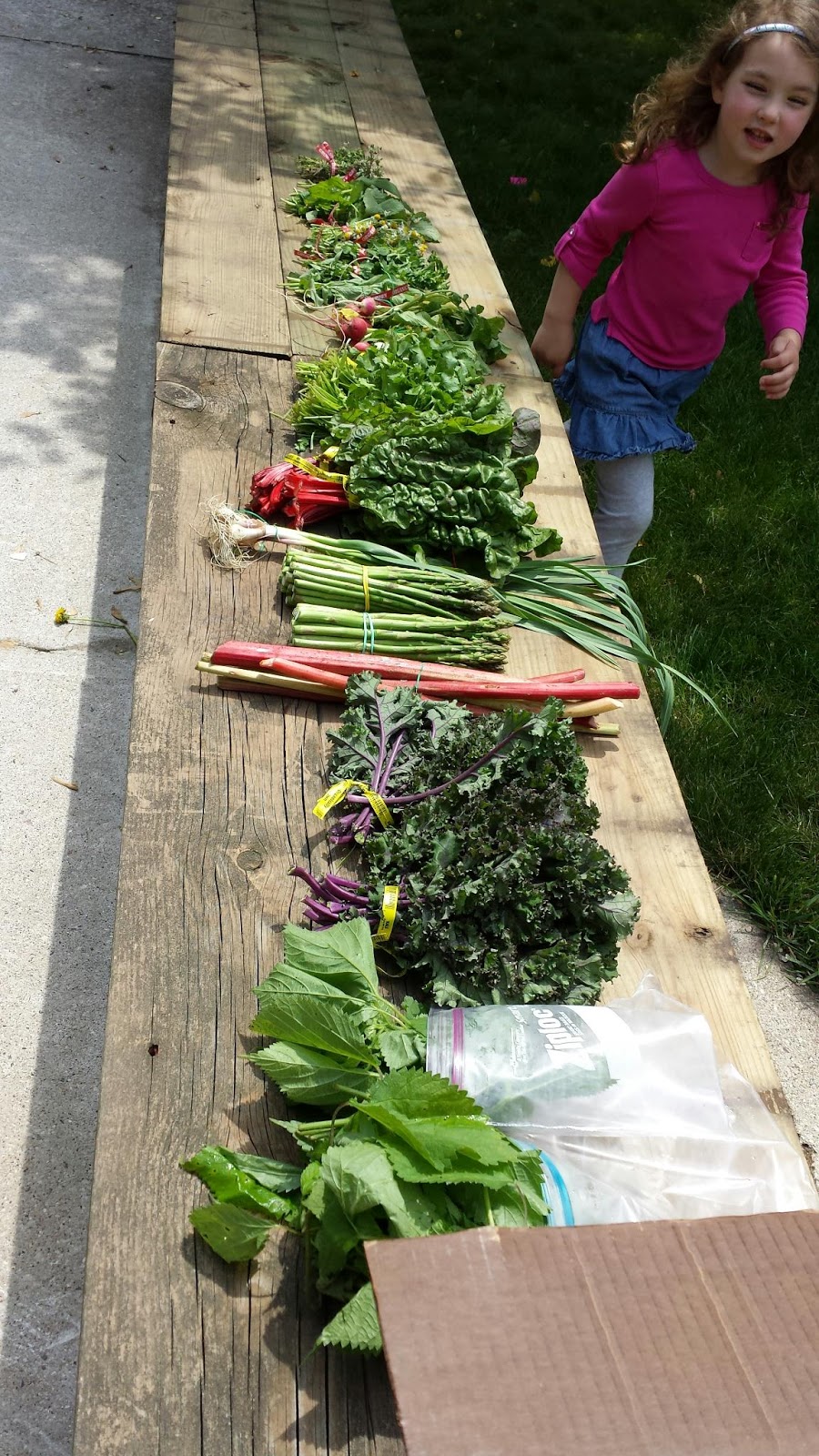 Everyday Eitings: Community Supported Agriculture (CSA)