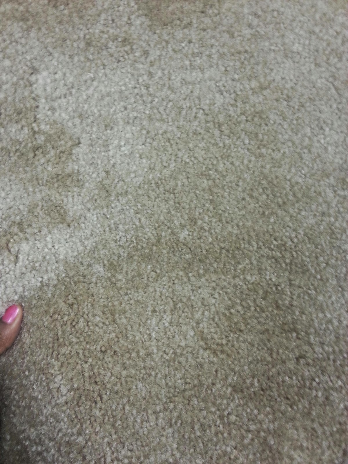 Building Our Ryan Verona: A Meeting With Rite Rug