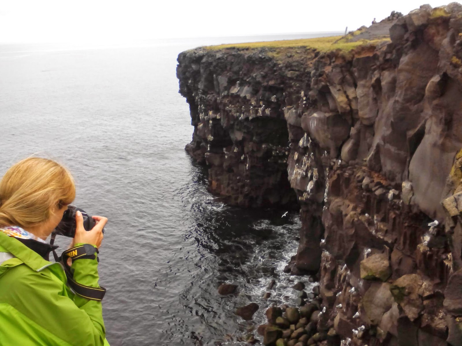 Life2Trip: Hafnaberg Cliffs