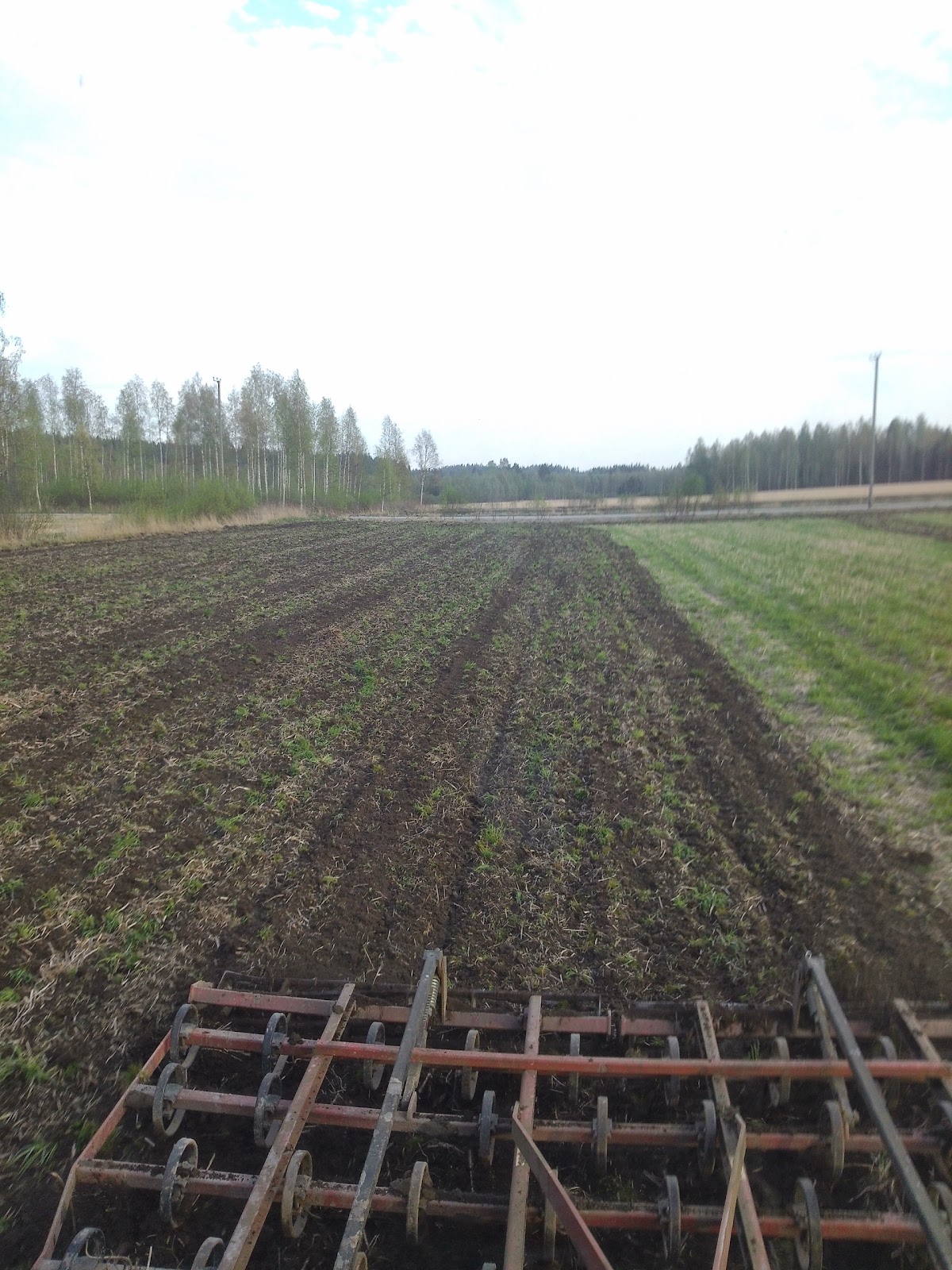 Työssäoppiminen Korja