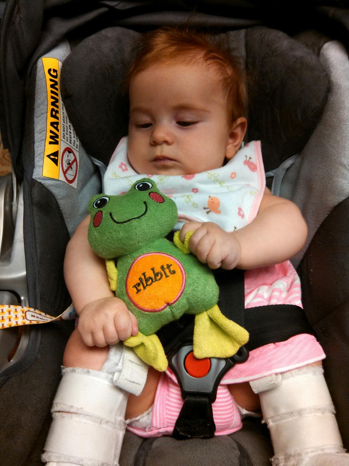 Froggied Princess: Our life with a Wheaton-Pavlik Harness: Feeling Froggie