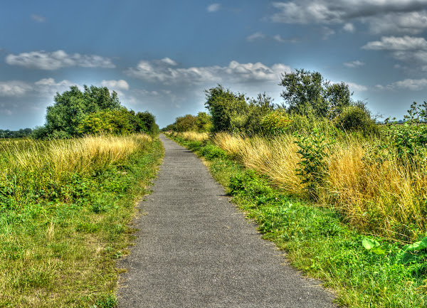 Keep Pushing Those Pedals: Cycling the Water Rail Way (The long haul ...