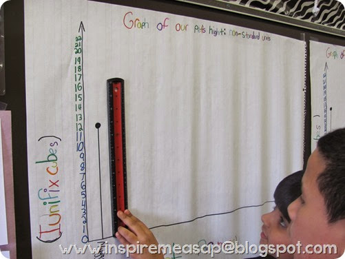 Measuring Penny Measurement Unit - Inspire Me ASAP