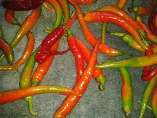 Guindillas en vinagre