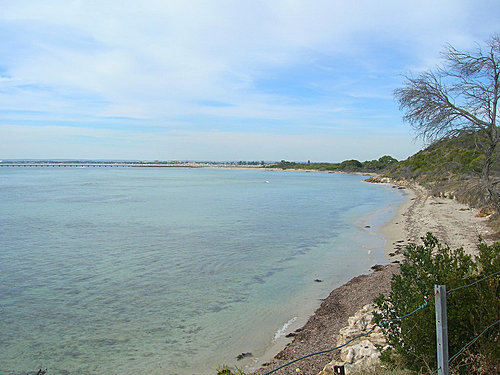 清清的環球旅行筆記: 西南澳澳客行 洛金汗 (Rockingham) 花園島 (Garden Island)、企鵝島 (Penguin ...