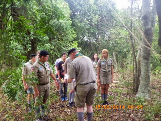 Brazilian Senior Scout