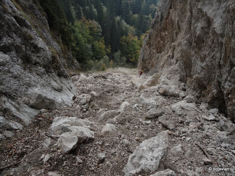 Padina lui Calinet si Sudica- Piatra Craiului – Pe drumuri de munte