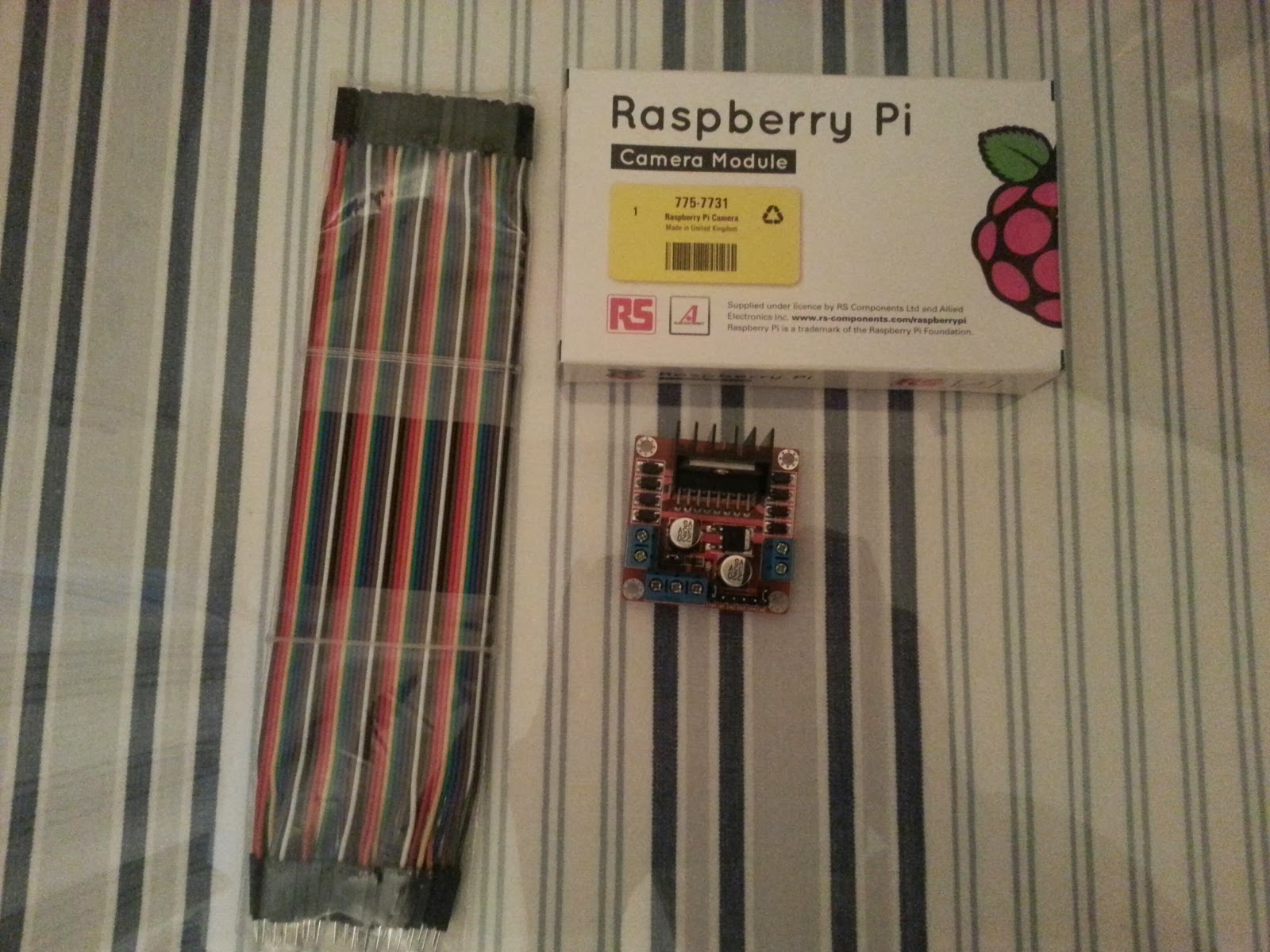 Raspberry Pi - Remote Control Car Project