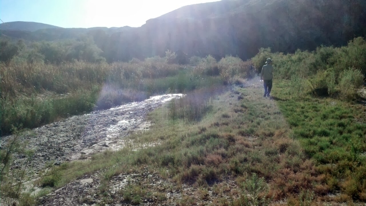 Mojave Desert Diary...: Afton Canyon...