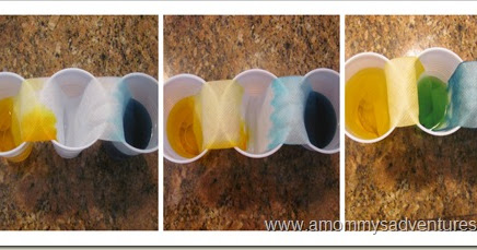 A Mommy's Adventures: Amazing Science ~ Absorption Color Mixing Color Wheel