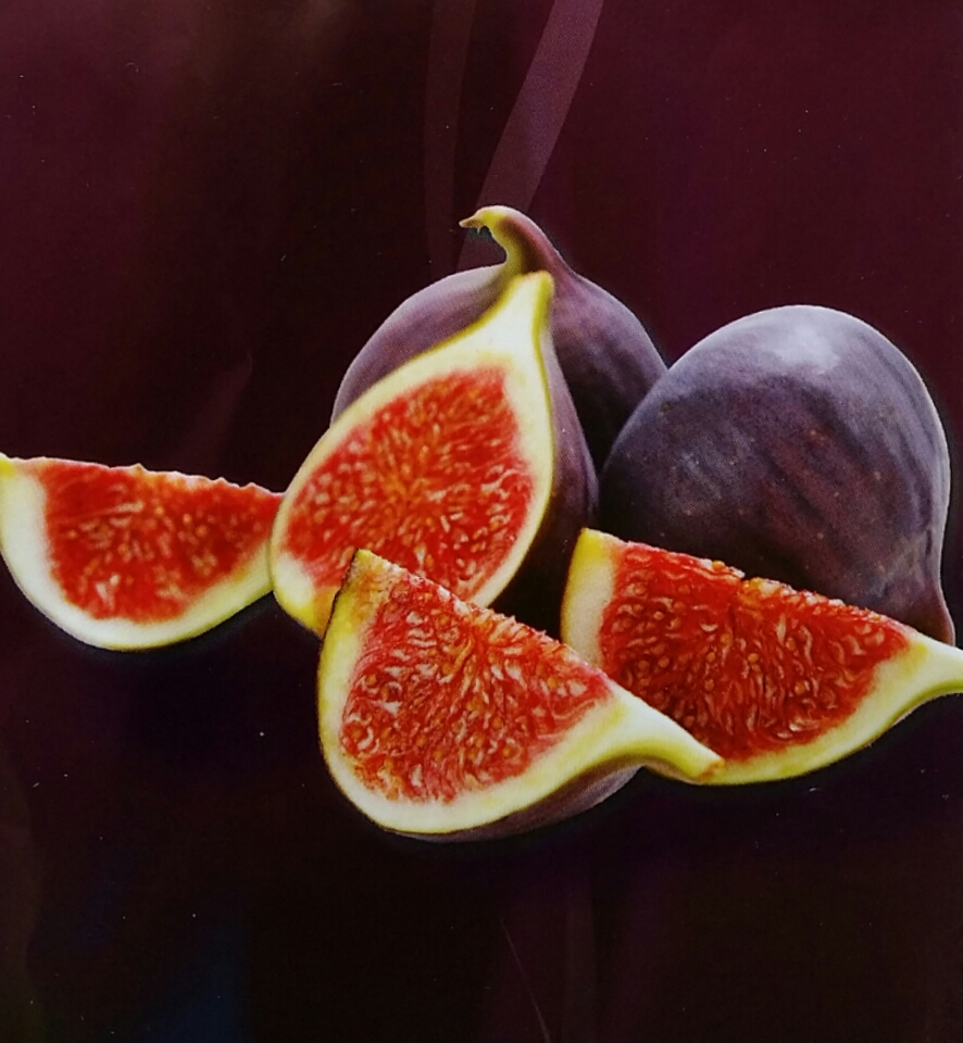 Fig Vinegar: Tahukah anda apa itu Mother di dalam cuka Buah Teen Olive ... Fig Vinegar: Tahukah anda apa itu Mother di dalam cuka Buah Teen Olive ...