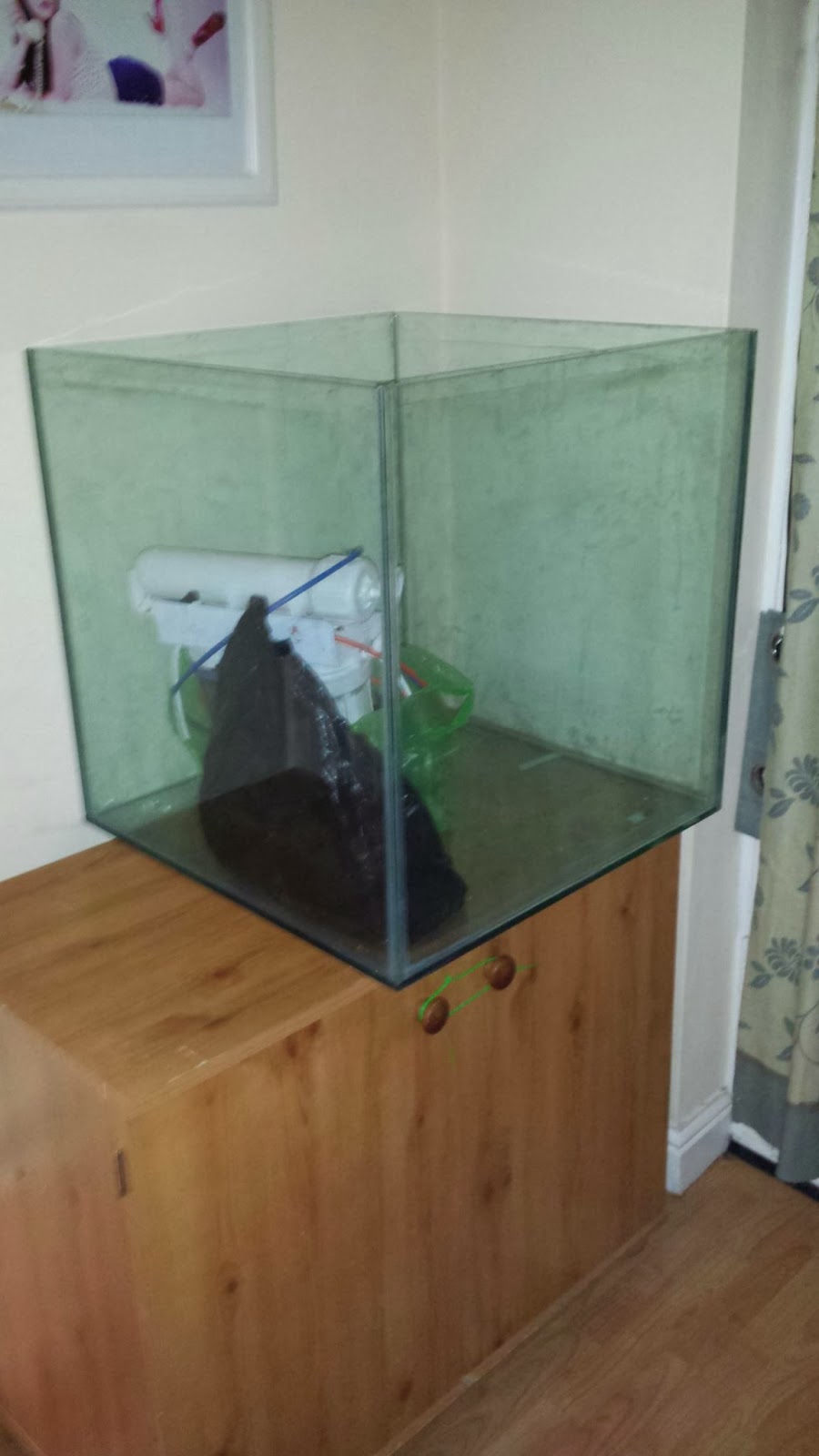 Vox Marine - Aquarium Solutions: Tank repair and build 2x2x2