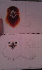 Imaeko's Artage Blog - The Art and Designs of Megan Cowley