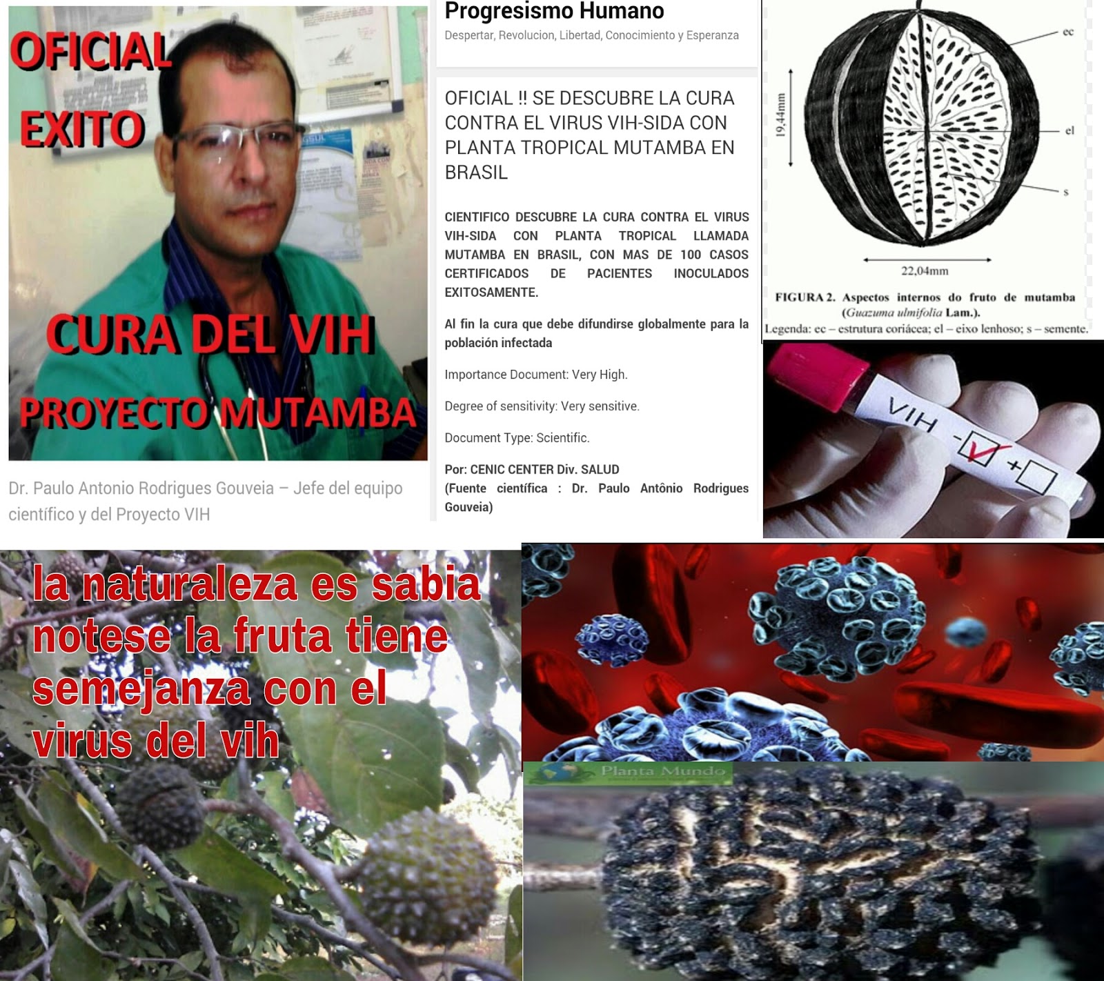 NinMah: THE CURE FOR HIV-AIDS VIRUS WITH MUTAMBA A TROPICAL PLANT IN ...